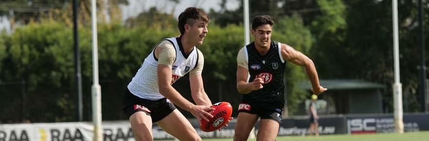 Round 13 Captain's Corner: Baz, Holmes, Daicos, Gawn, Heeney etc ...