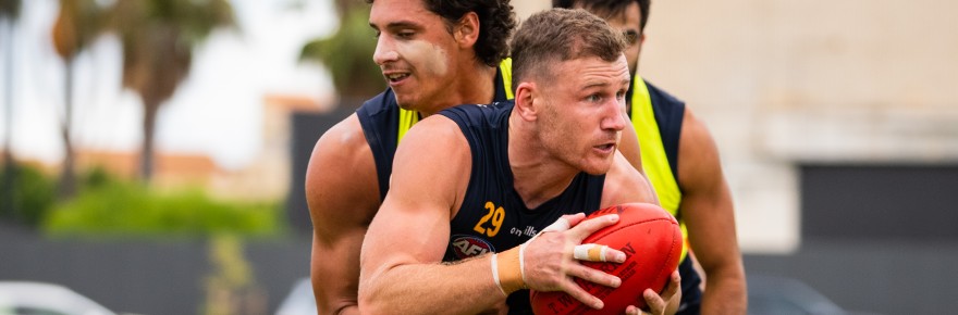 Round 11 AFL Fantasy VC/C Options: Lock and load Dons mid for captain ...