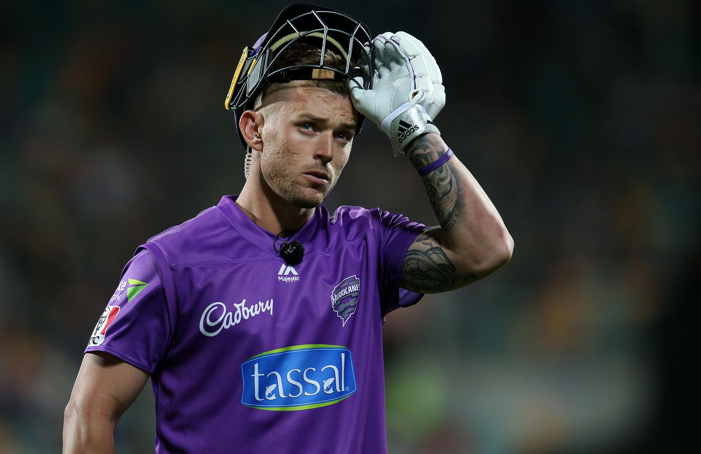 Verdict on the best starting wicketkeeper in SuperCoach BBL|15 - Honeyball