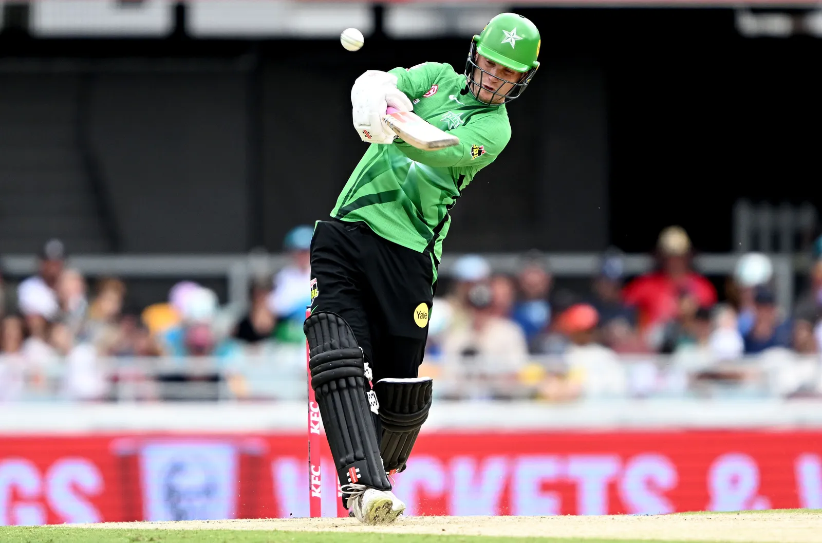 Squad update: Rogers ruled out for Stars - Honeyball
